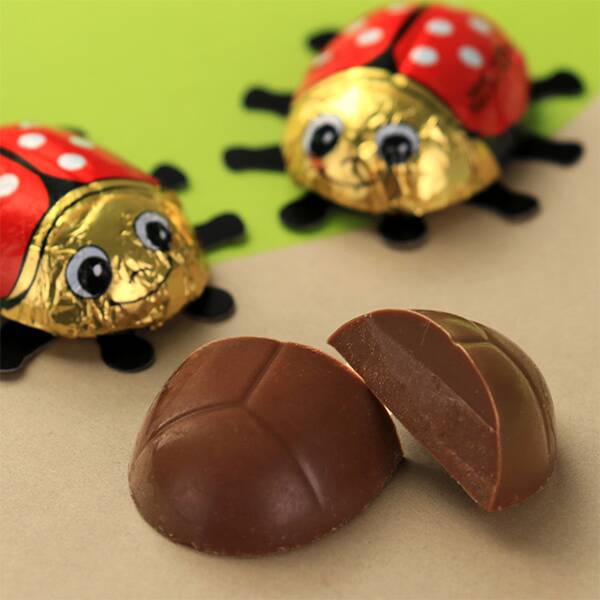 リゲライン レディバードボックス 100g - カルディコーヒーファーム オンラインストア